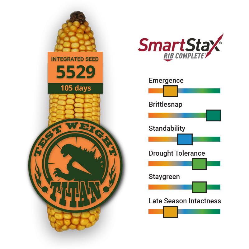 5529 SS RIB – 105 Days | Integrated Seed Online